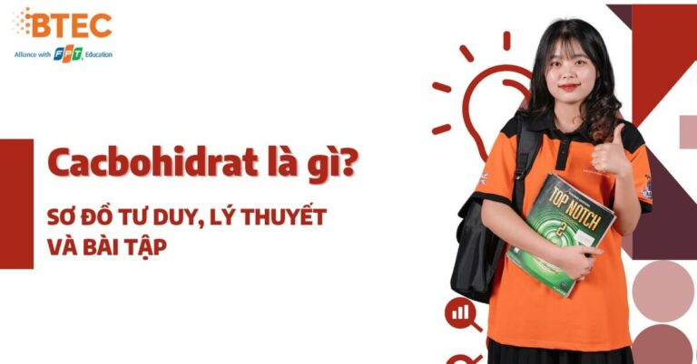 Cacbohidrat là gì? Sơ đồ tư duy, lý thuyết và bài tập