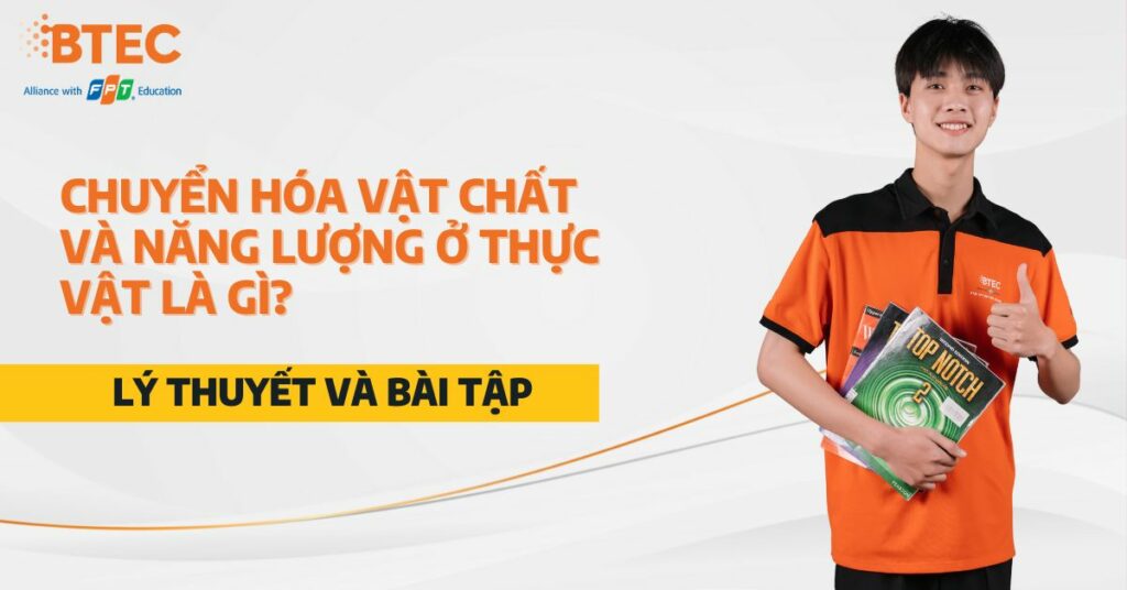 Chuyển hóa vật chất và năng lượng ở thực vật là gì? lý thuyết và bài tập