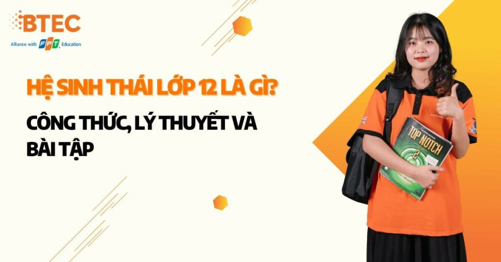 Hệ sinh thái lớp 12 là gì? Công thức, lý thuyết và bài tập